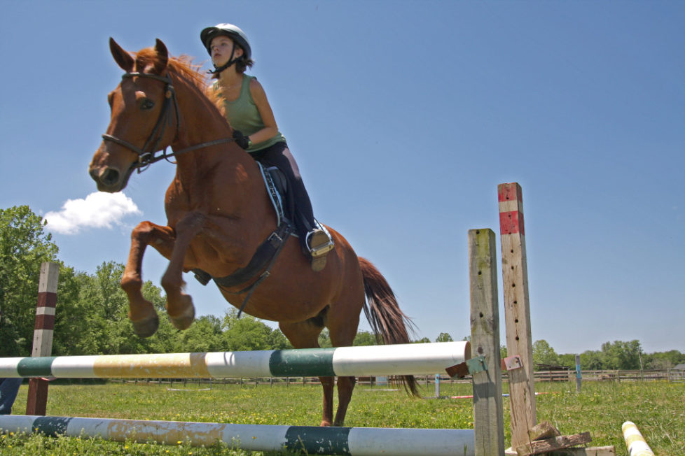 Trail Ride Lessons – Creekside Riding Stables