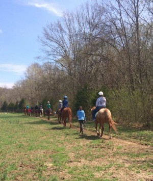 Trail Ride Lessons – Creekside Riding Stables